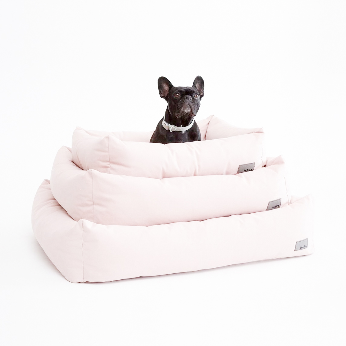 Mara Design for Pets - The Little Black Guide