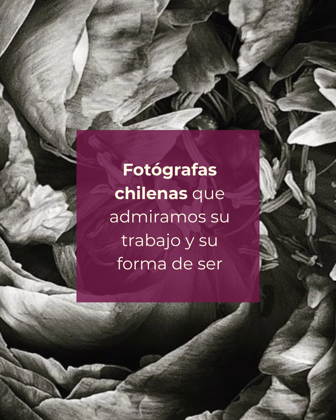 5 fotógrafas chilenas que deberías conocer (y que a nosotras nos encantan) - The Little Black Guide